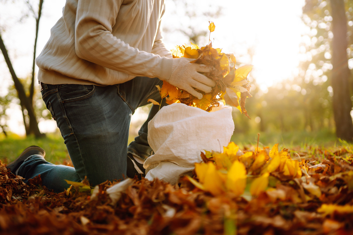 Safely Performing Fall Yard Work: Protecting Your Back - Saratoga TODAY ...